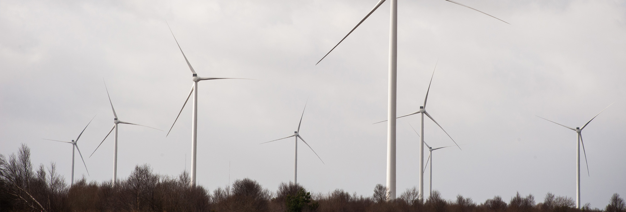 About Us | Mountlucas Wind Farm